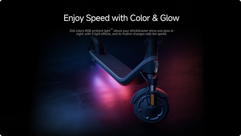Segway eKickScooter E2 Plus II | An Electric Scooter Fit for Beginners